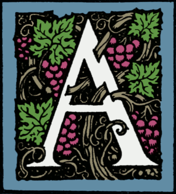 Affini Compact | Glowfic Constellation