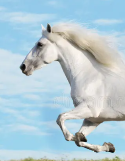 Shadowfax | Glowfic Constellation